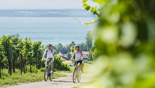 Radtouren rund um den Bodensee | Blog Hotel Maier